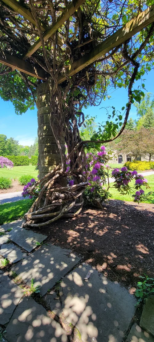 Field Trip to Mount Assisi in Loretto — The Garden Club of Johnstown