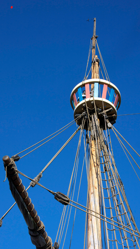 The Mighty Crow Story — Mighty Crow