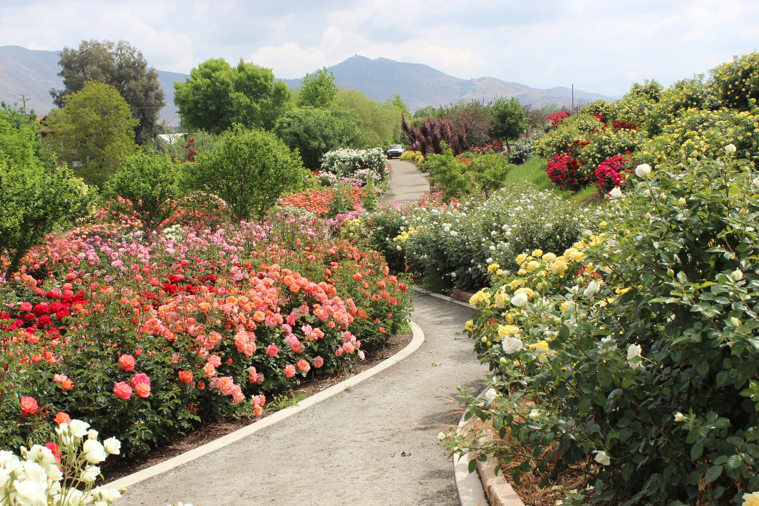 Woodlake Botanical Garden