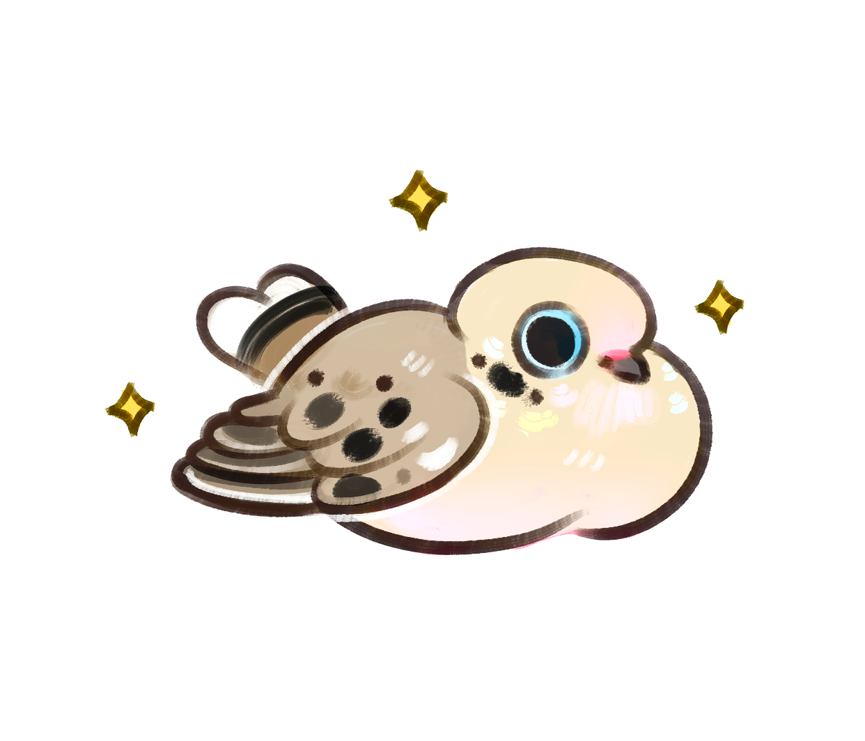 About — Cookie Doves by Meesh