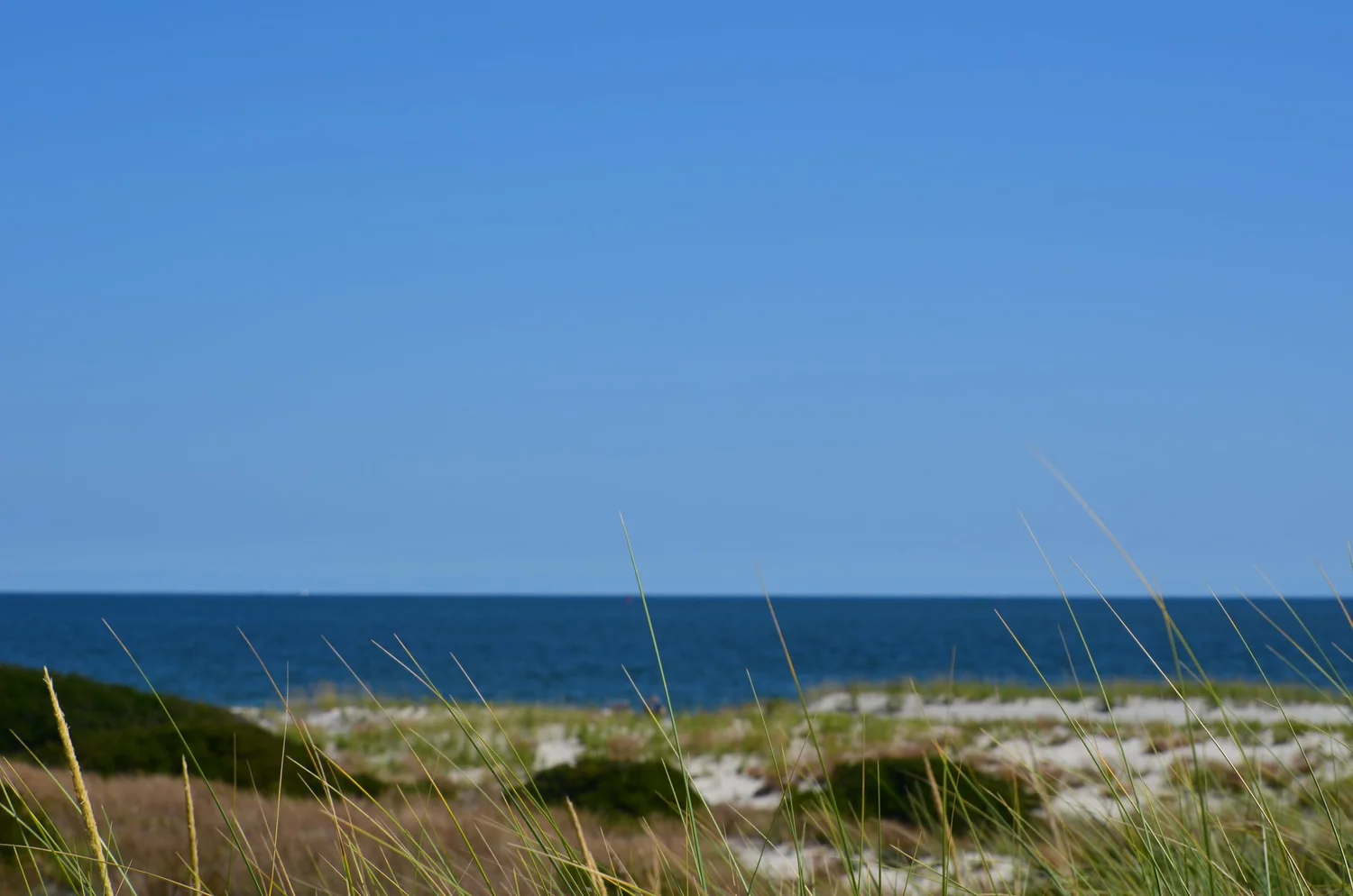 Events On LBI — Explore LBI Homes