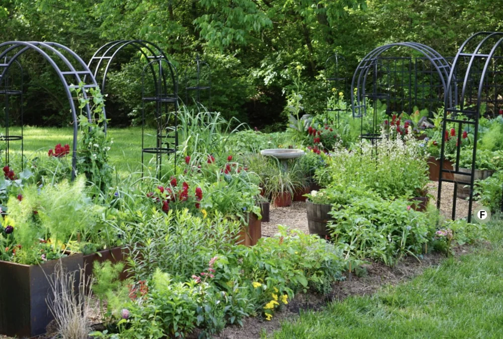 Garden Design Consultant | Kitchen Gardens — Meadowlawn Farm