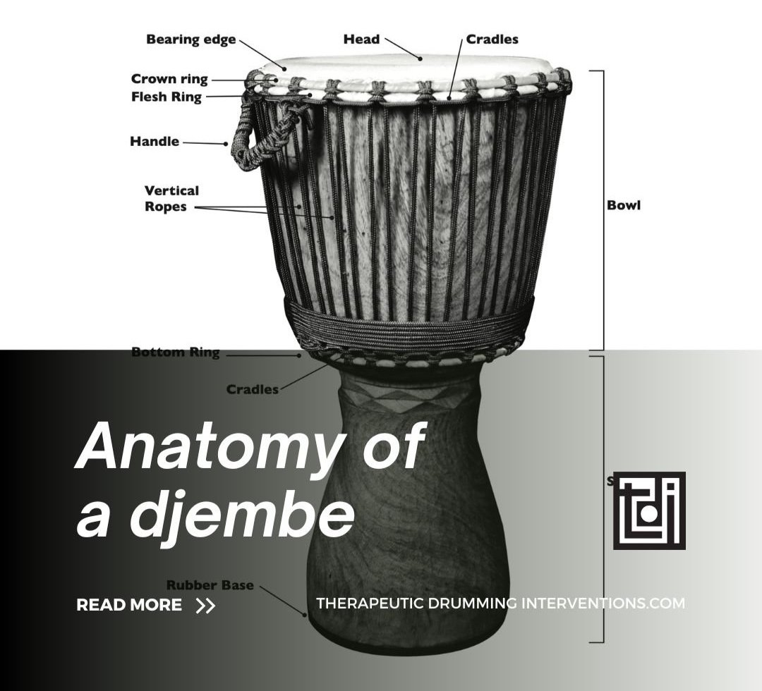 Anatomy of a Djembe — Therapeutic Drumming Interventions