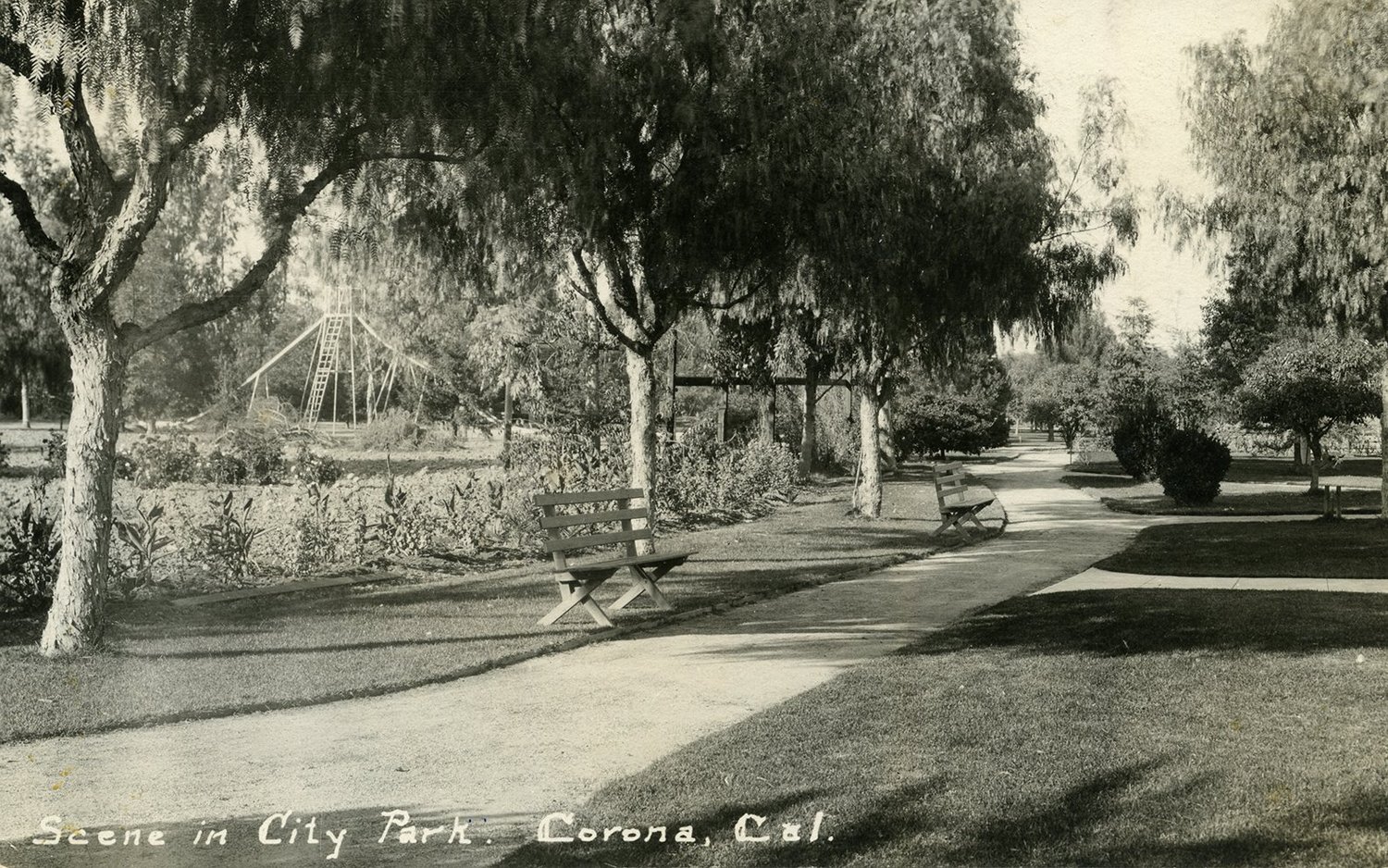 City Park Master Plan