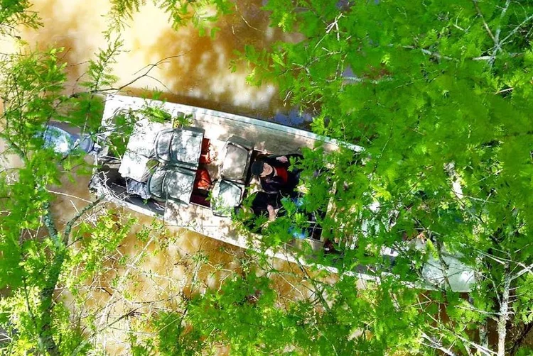 Last Wilderness Swamp Tours