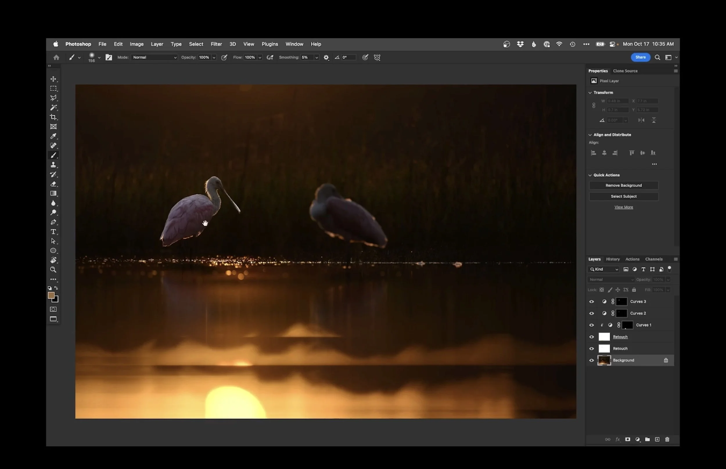 Learn Wildlife Photography Online — Ray Hennessy Wildlife