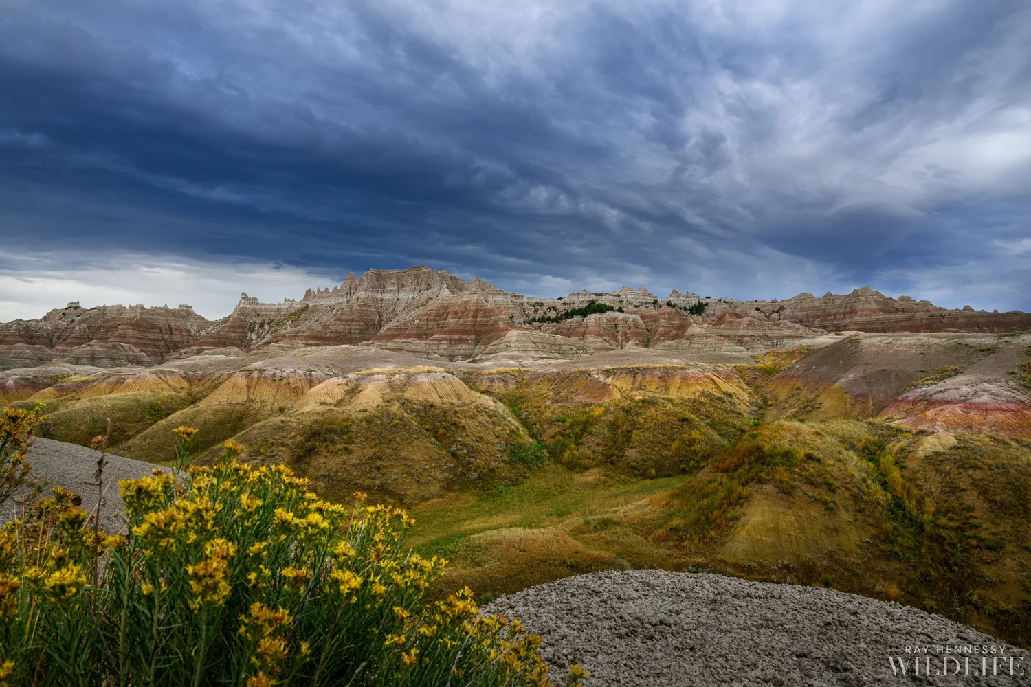 South Dakota Badlands Landscape — Ray Hennessy Wildlife