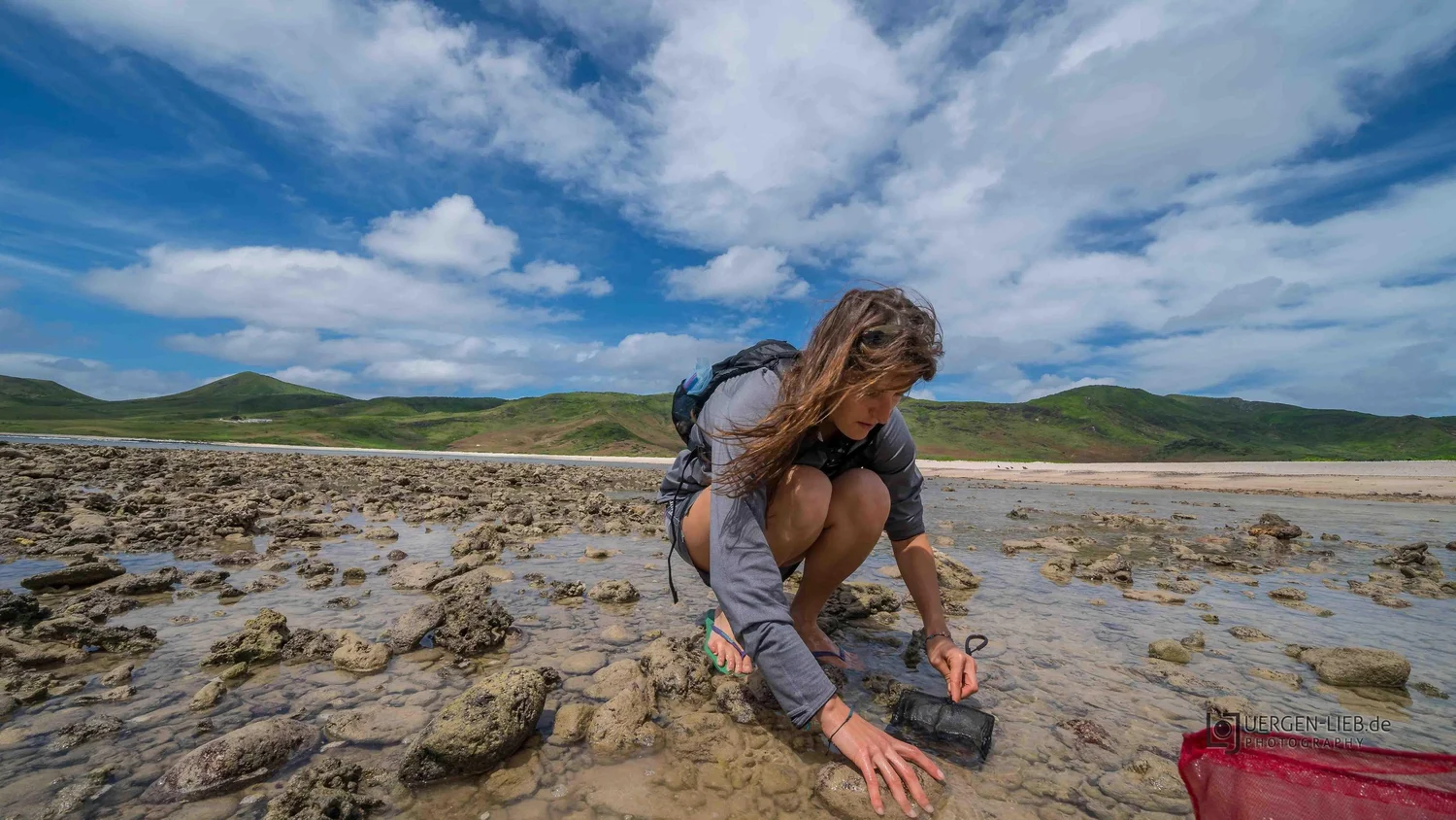 Mission — FieldFutures