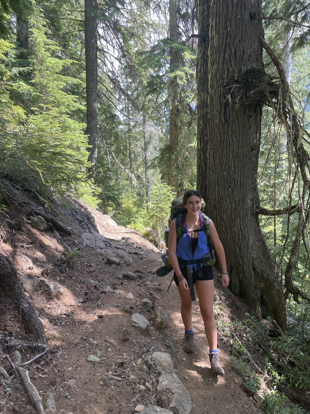 Team 1 — Peaks and Professors UW