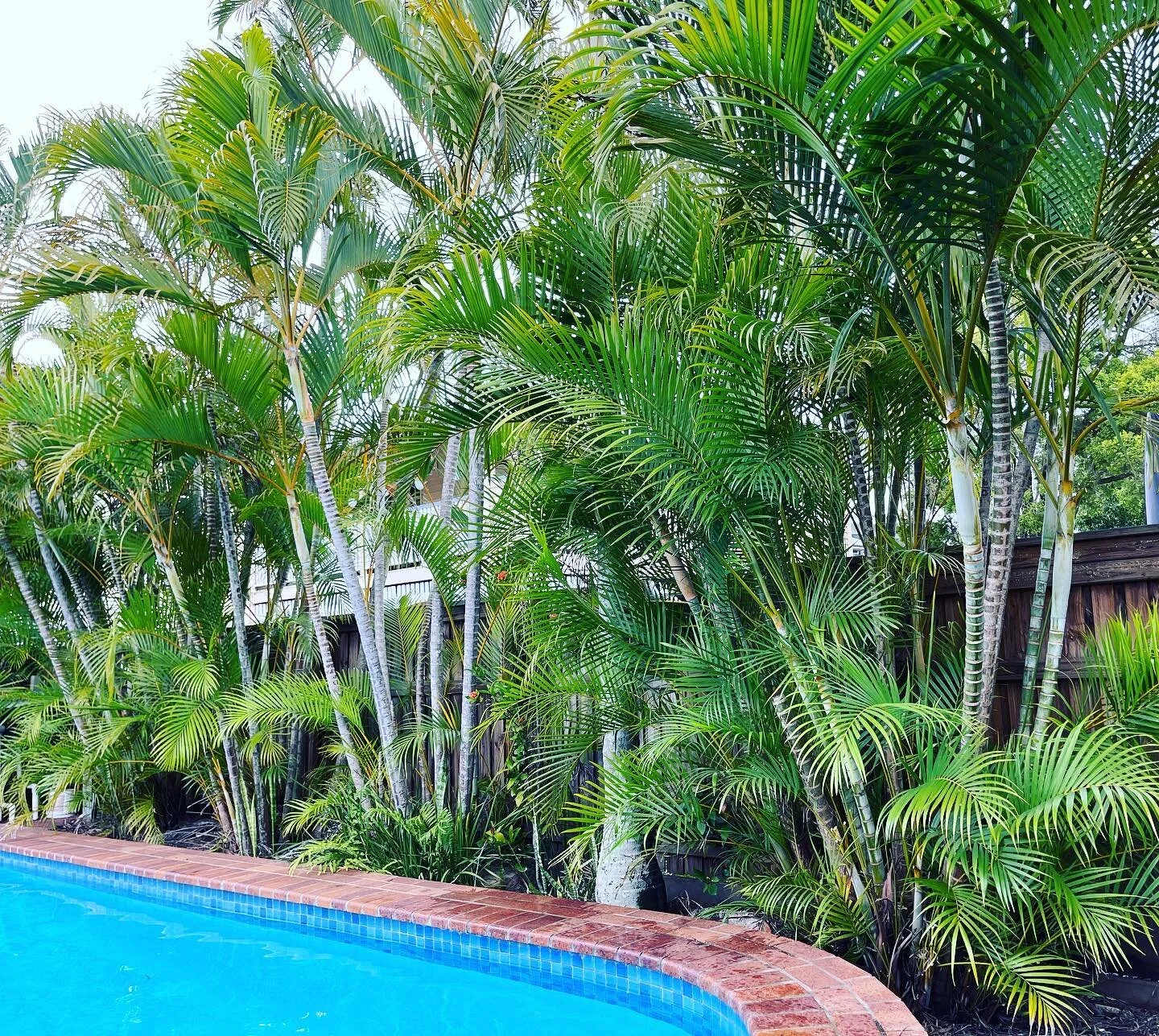 Gallery — Anne of Green Gardens