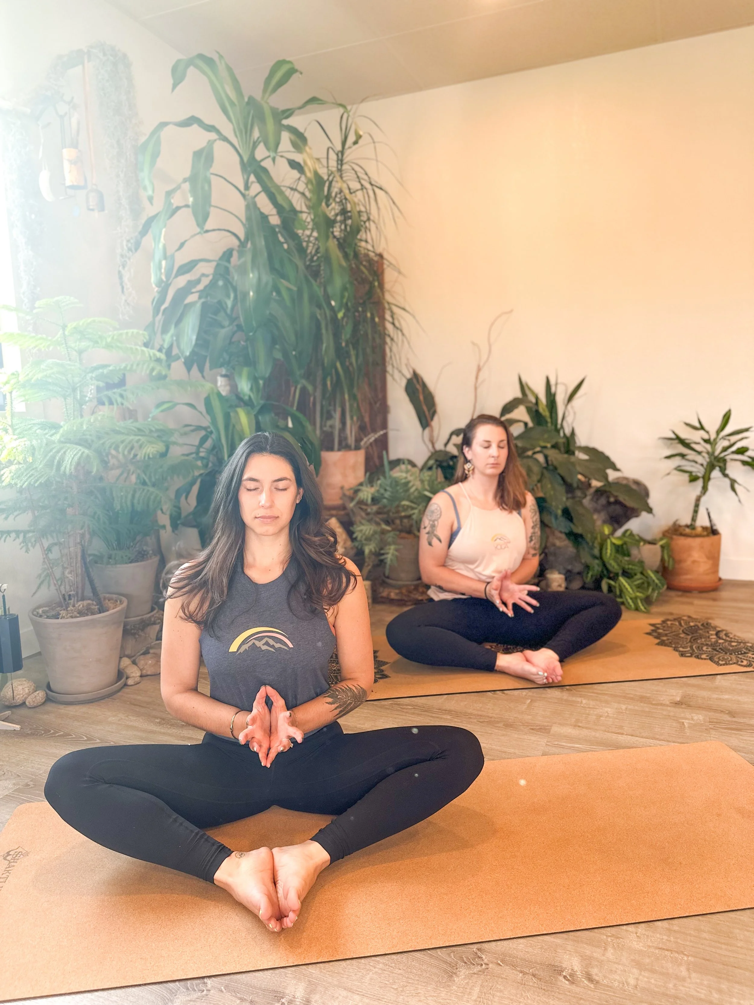 Resilient Soul Yoga Classes and Descriptions