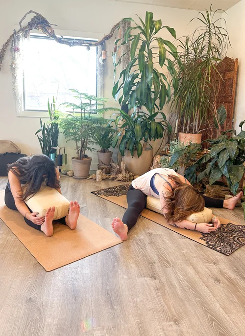 Resilient Soul Yoga Classes and Descriptions