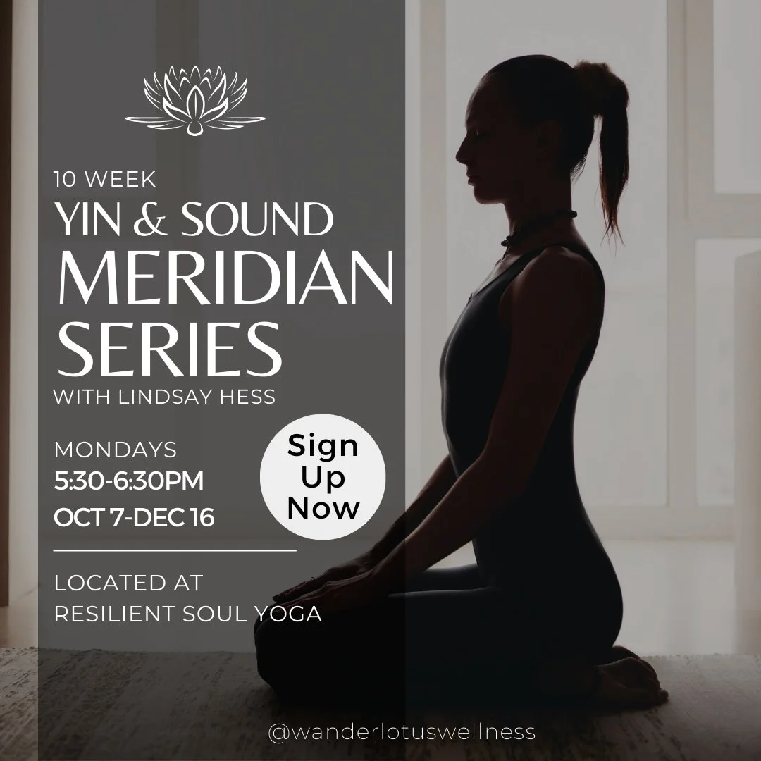 Resilient Soul Yoga Classes and Descriptions