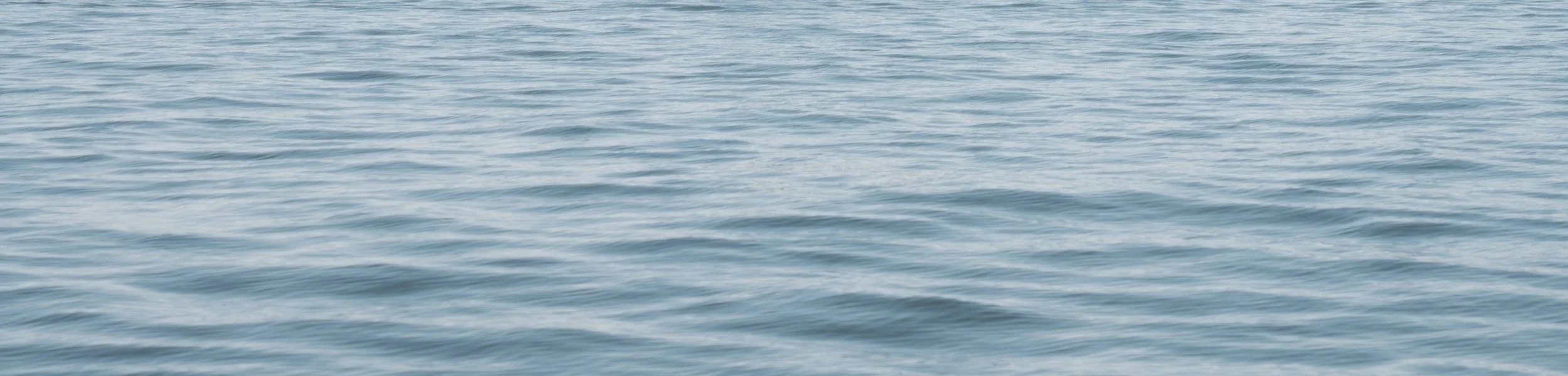 ADVOCATES FOR HERRING BAY
