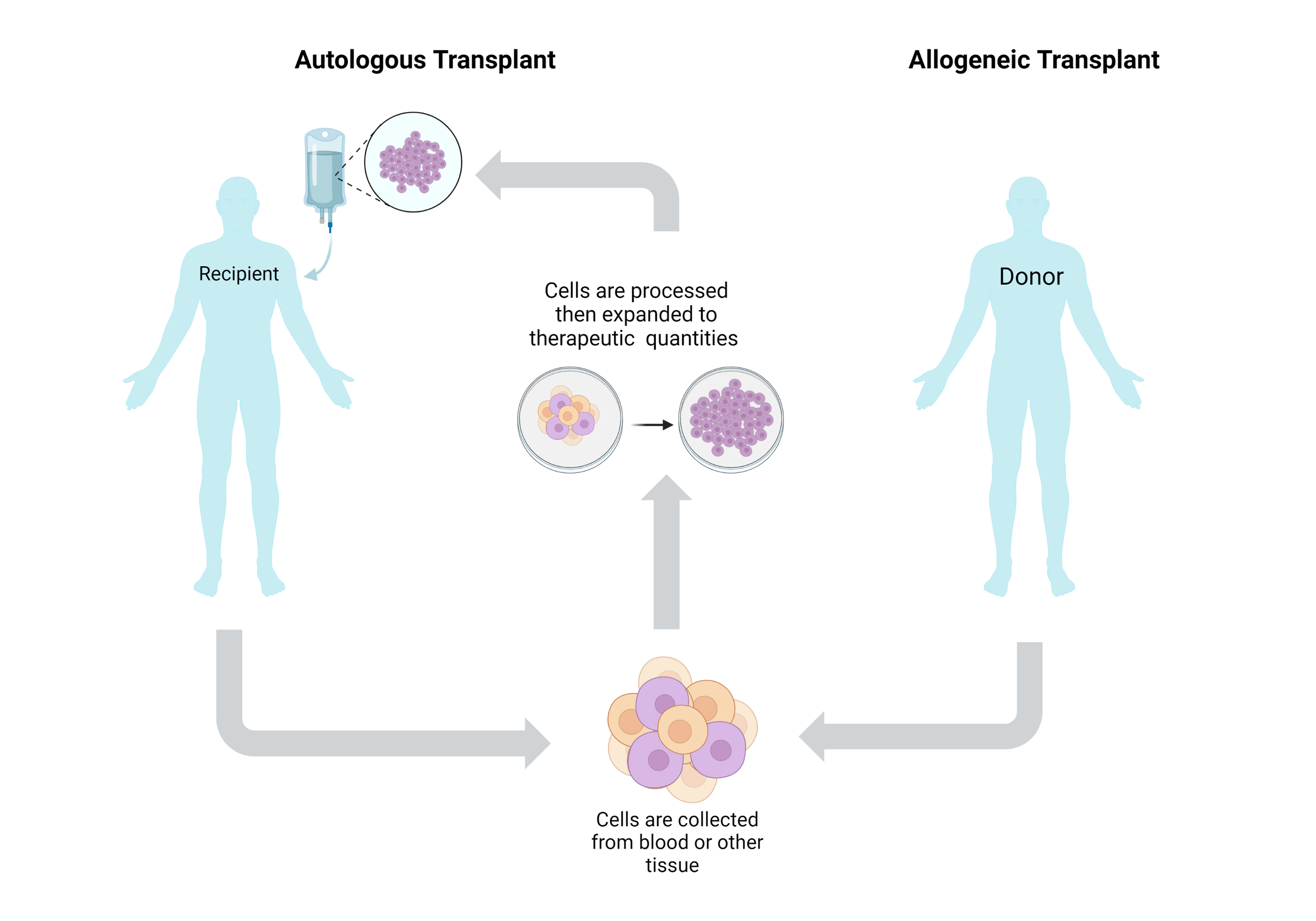 Cell therapies — CureCell