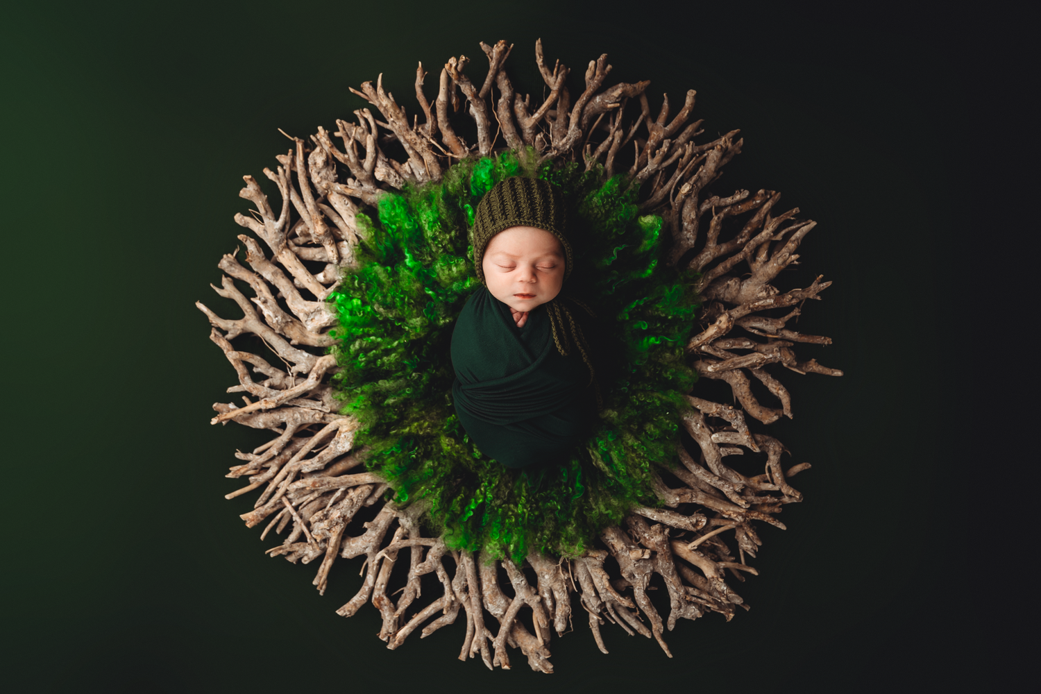 Velvet Moon Photography | Capture Precious Moments Today — The ...
