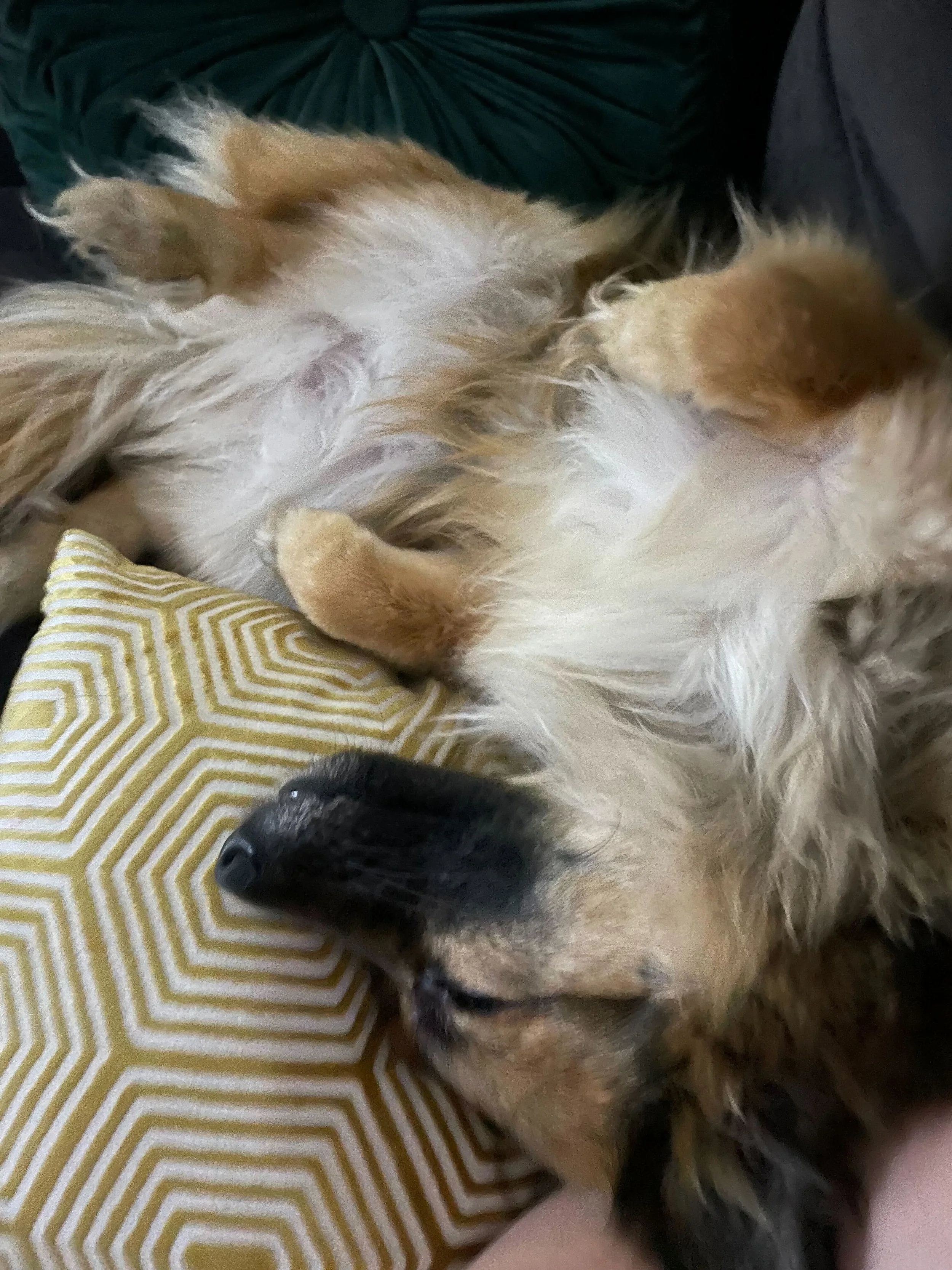 Careers — Orbital Knight