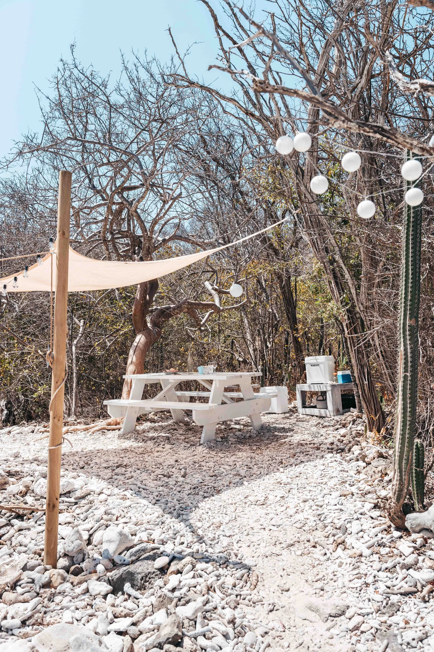 Private Beach Experience in Curaçao — Influence Through the Lens