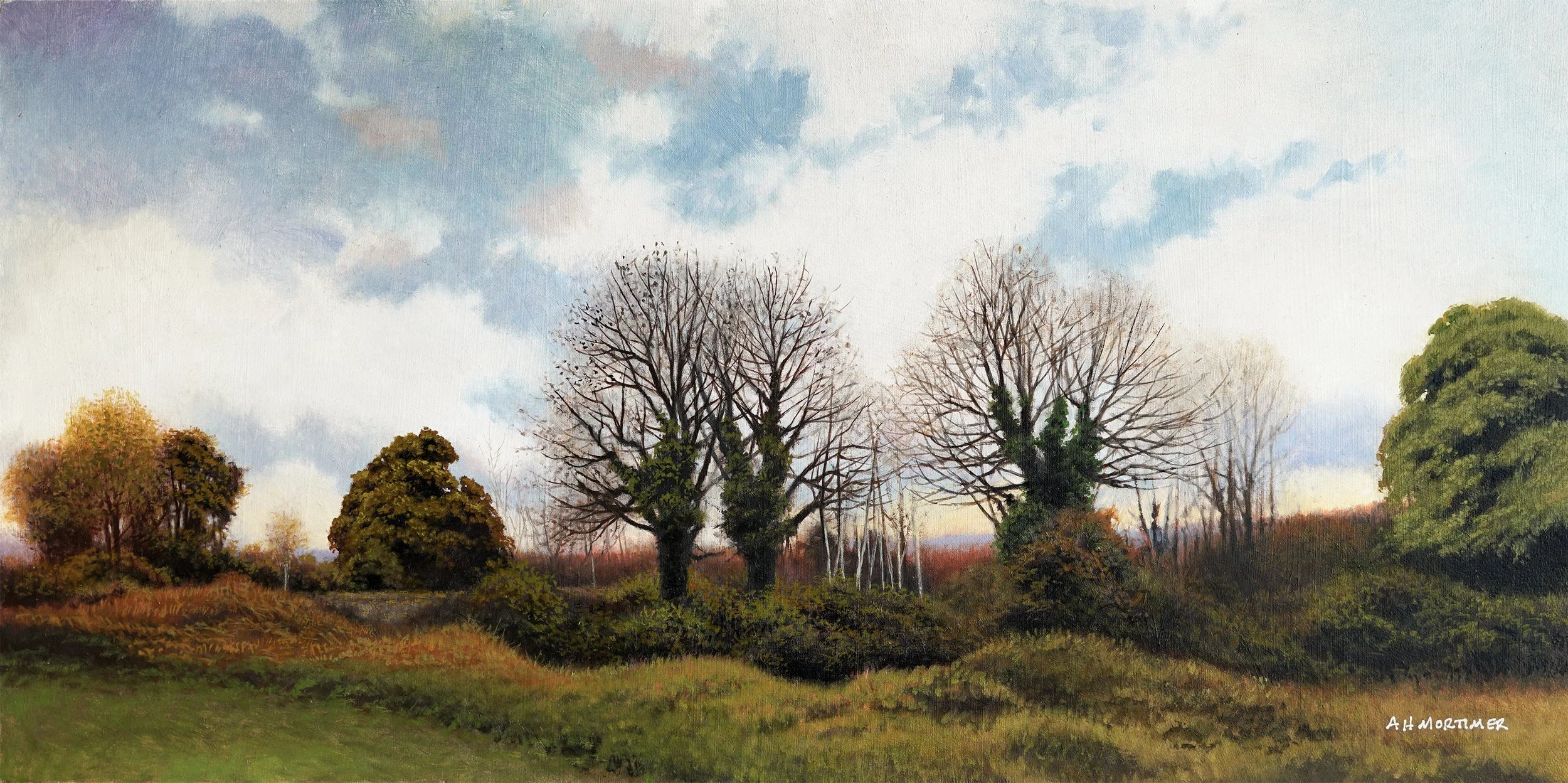 Shop — Andrew Mortimer