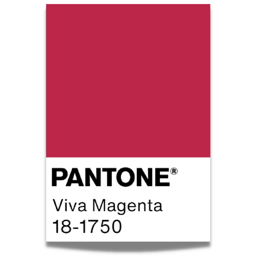 Viva Magenta è il poderoso colore dell'anno 2023 — Chiccacasa blog