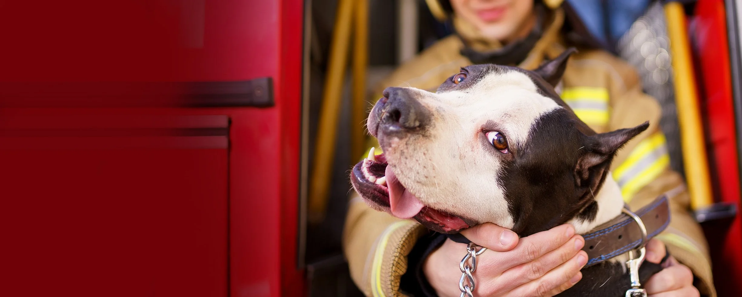 Rascal Portfolio Page — Integrated Beverage Group