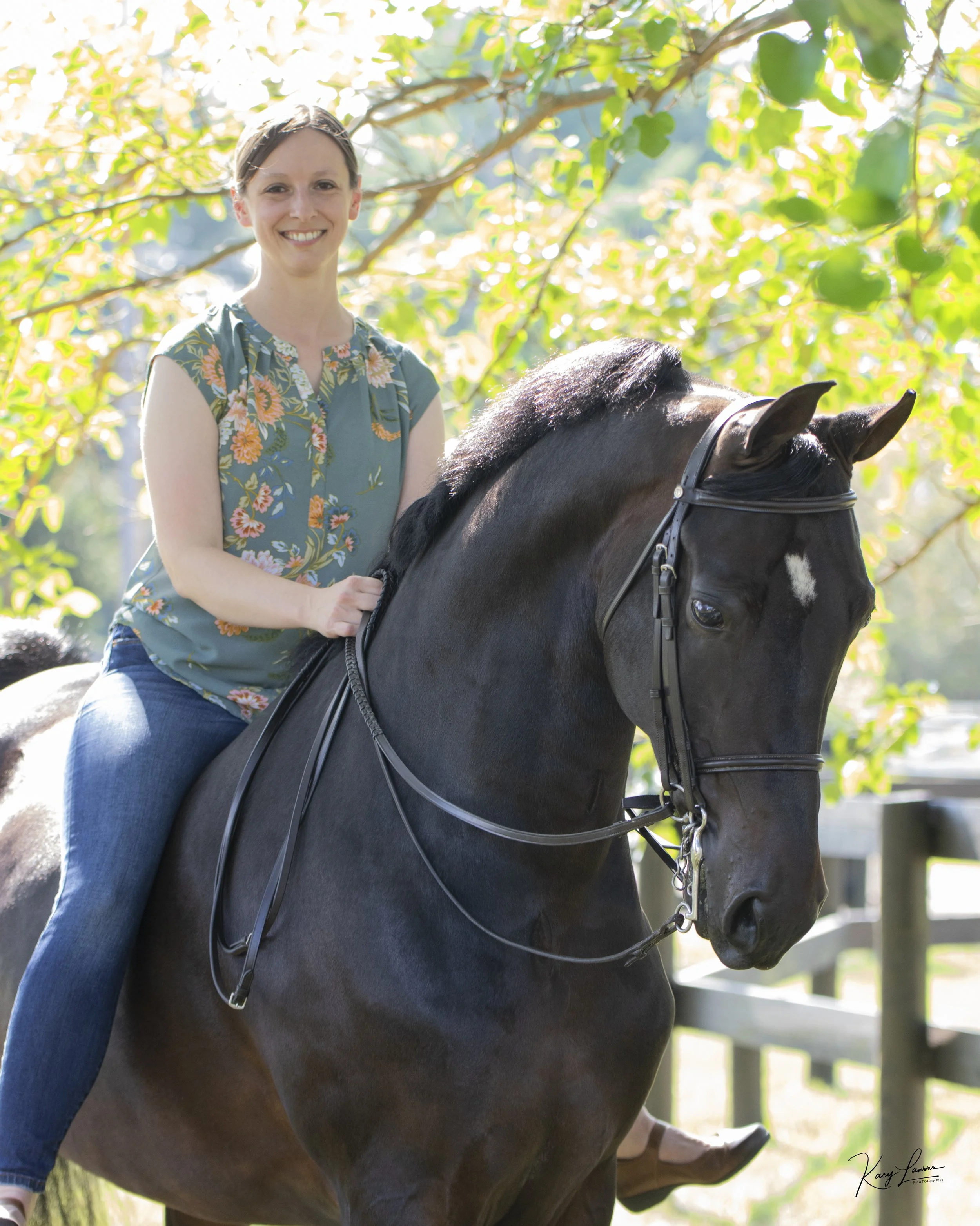 horse & rider — Kacy Lawver Photography