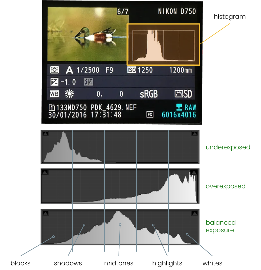 Is Exposure really a triangle? — David Atchley Photography