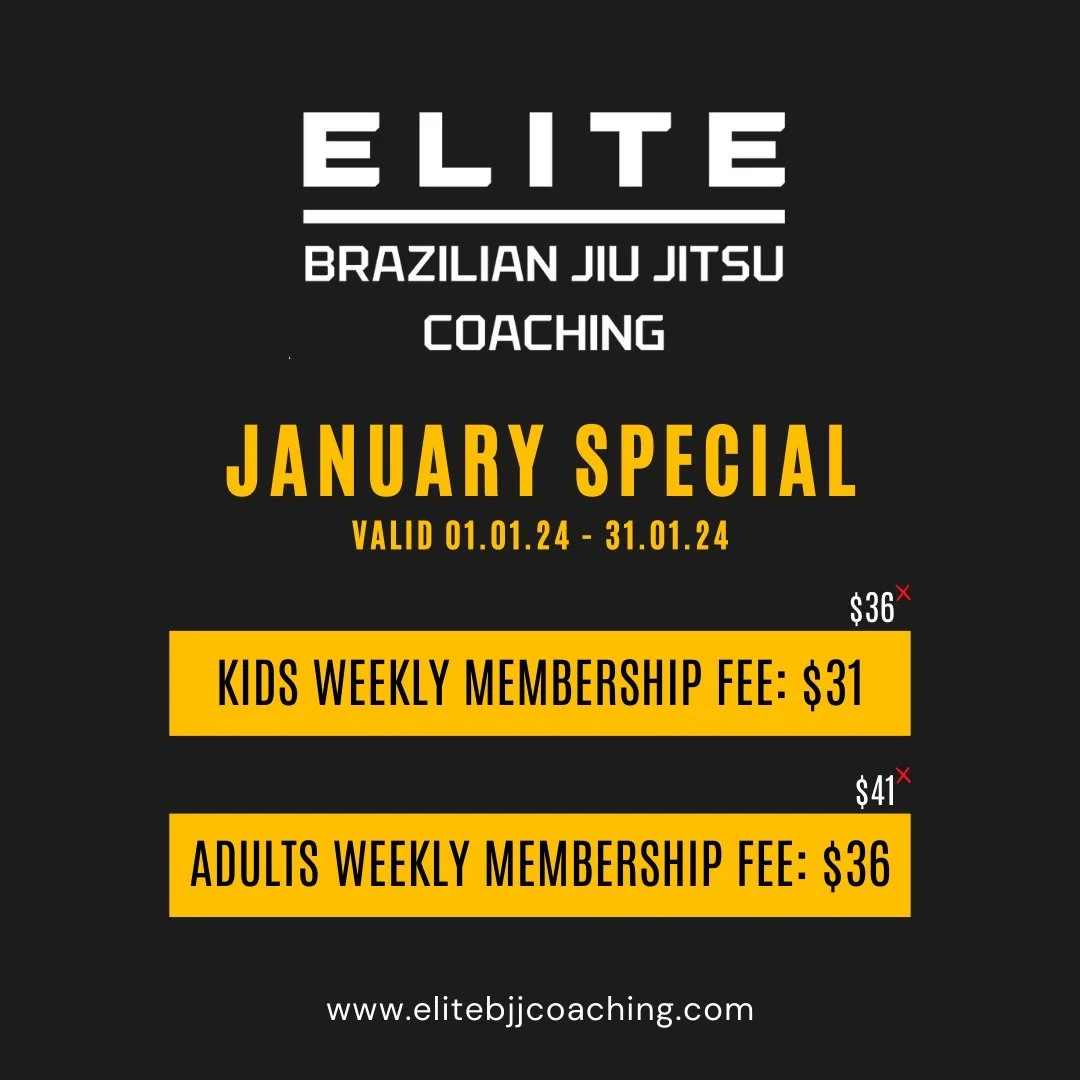 Elite Brazilian Jiu Jitsu Coaching