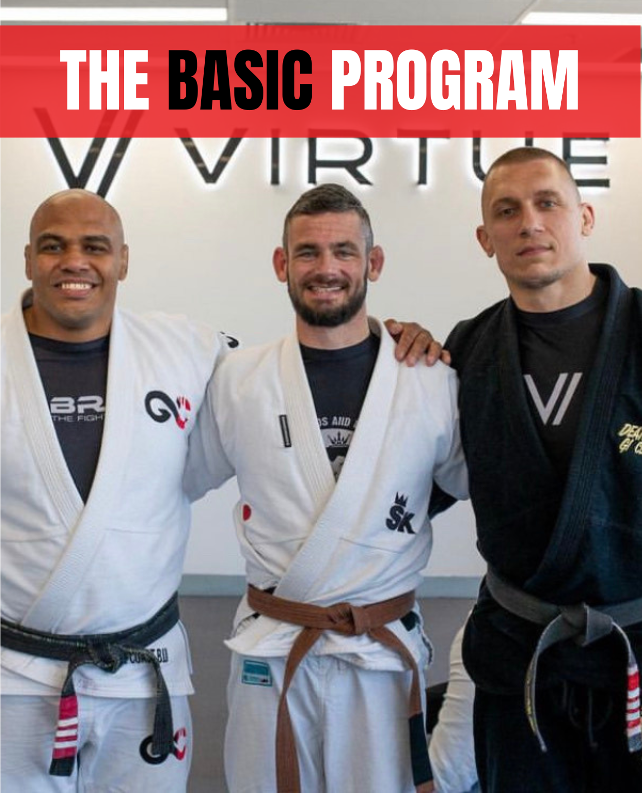 Elite Brazilian Jiu Jitsu Coaching