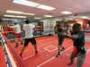 Madison Boxing Gym LLC
