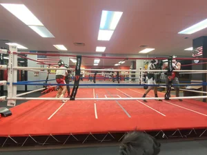 Madison Boxing Gym LLC