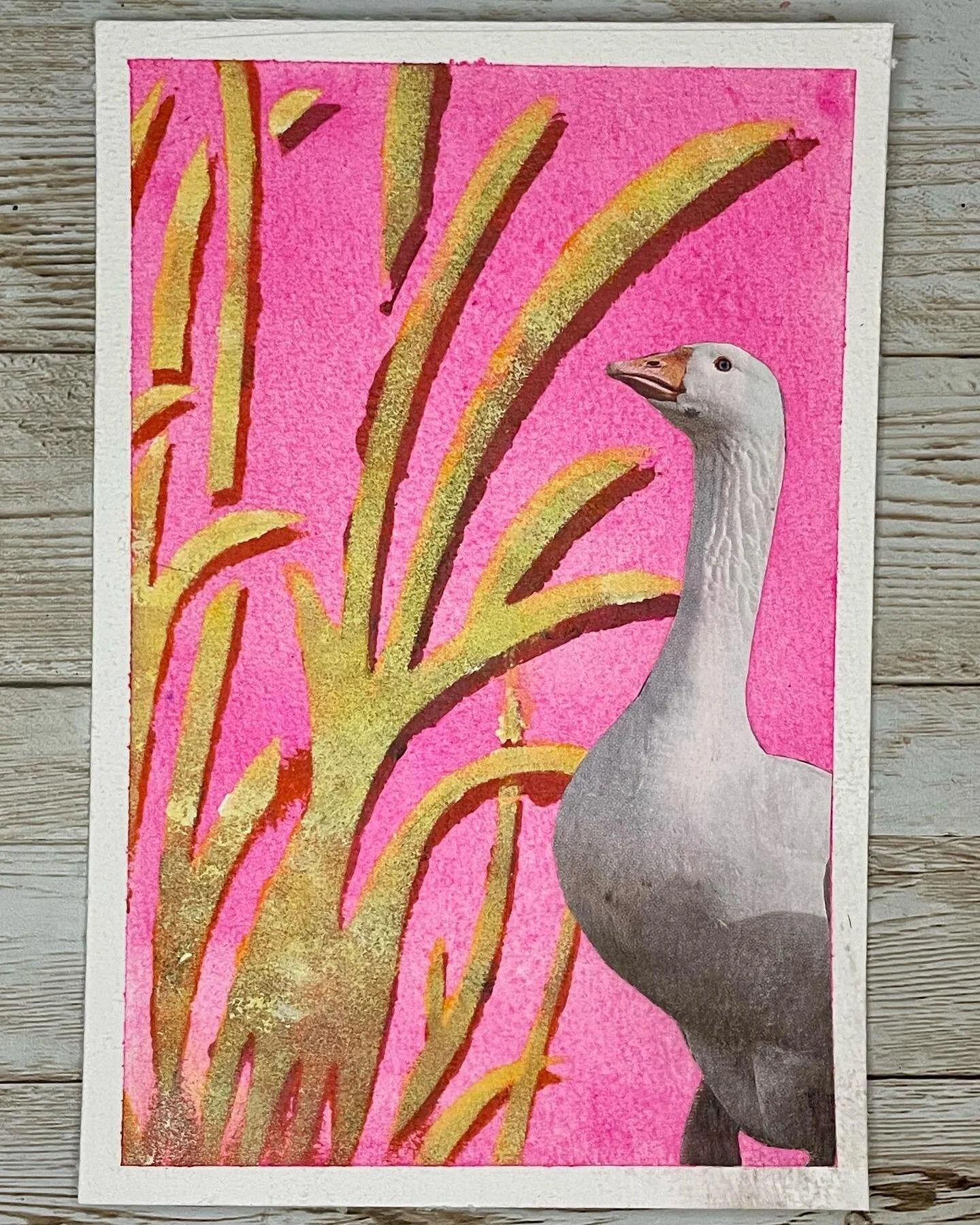 Michelle Schenker Art