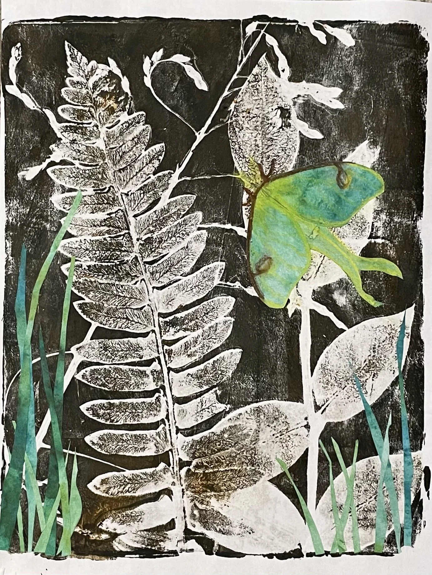 Gallery — Michelle Schenker Art