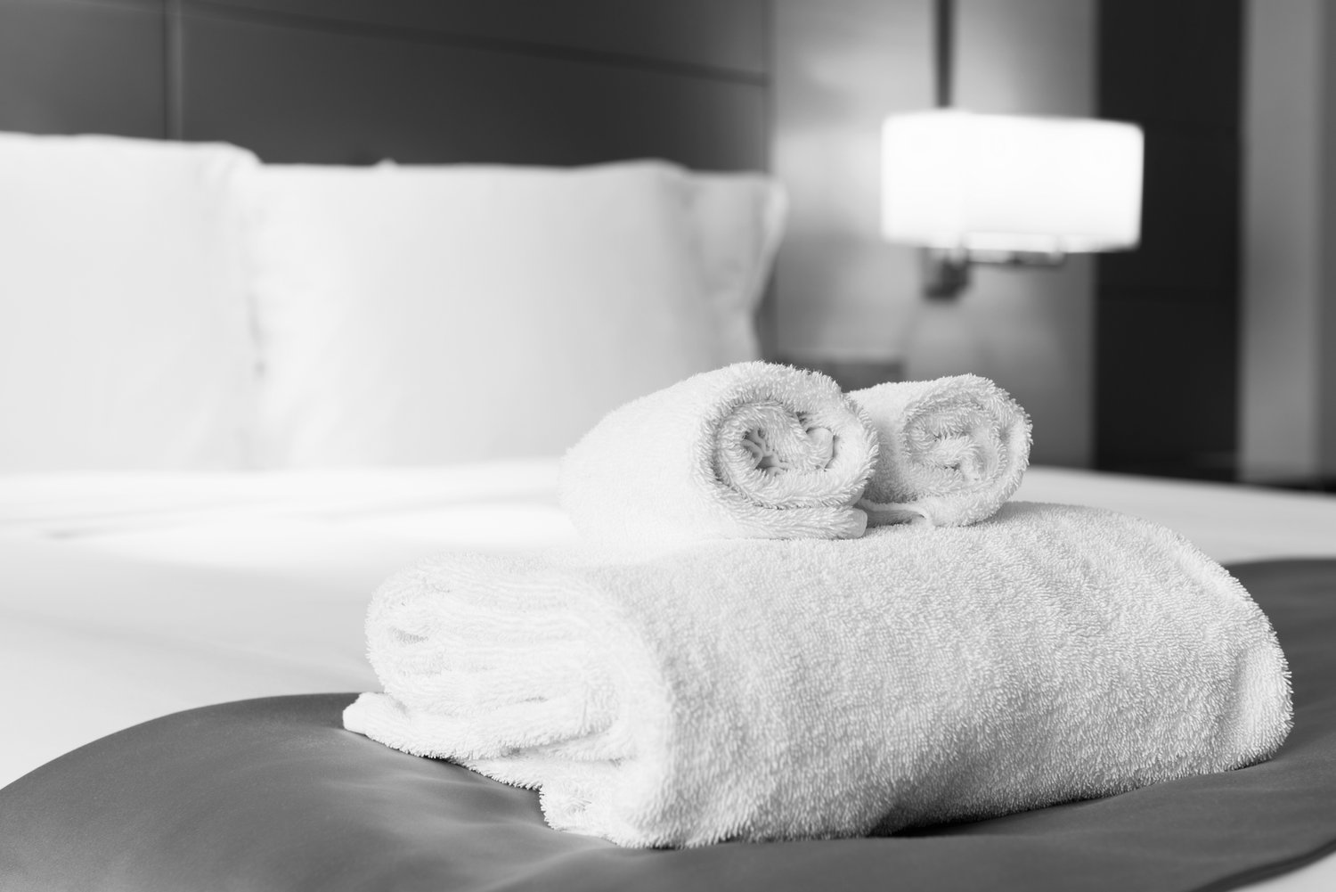 Team Travel — SiteSearch