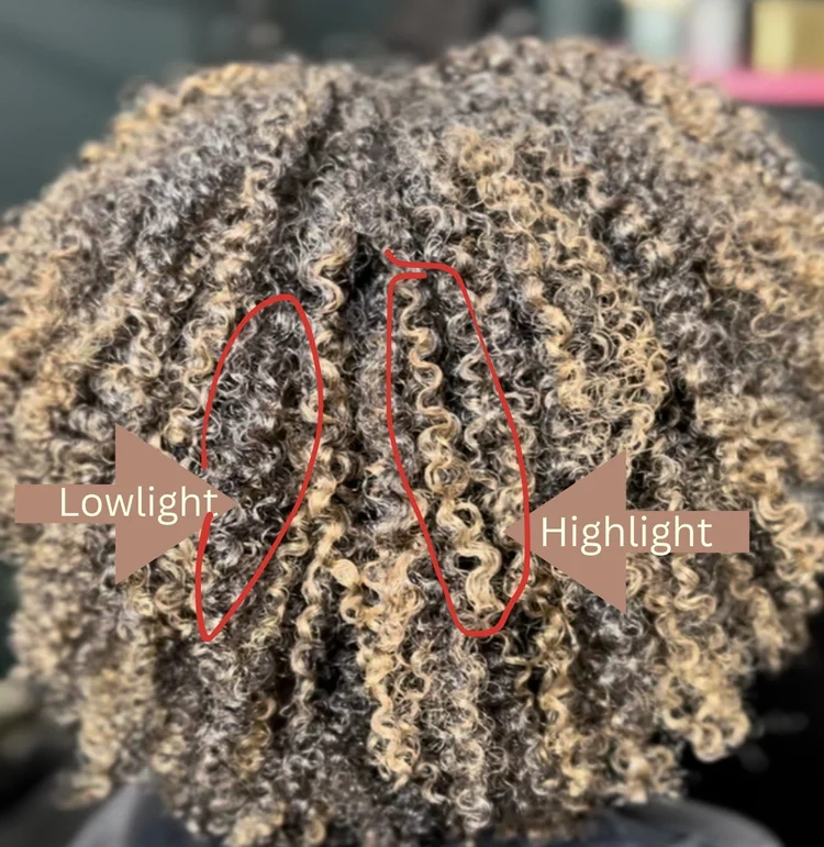 Defining Hair Color Terminology for Type 4 Naturals — Black Curl Magic