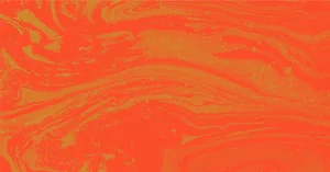 Services — Super Creative, Graphic Design & Branding Studio