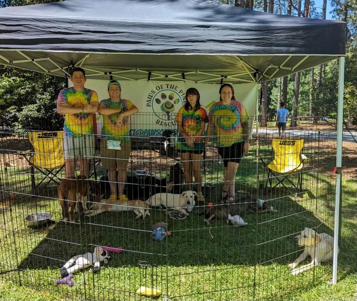 Paws of the Pines Rescue