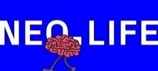 Zendo Meditation: The Modern Meditation Device