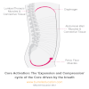 Anterior Pelvic Tilt? Add this to your routine — Erica Friedman Wellness