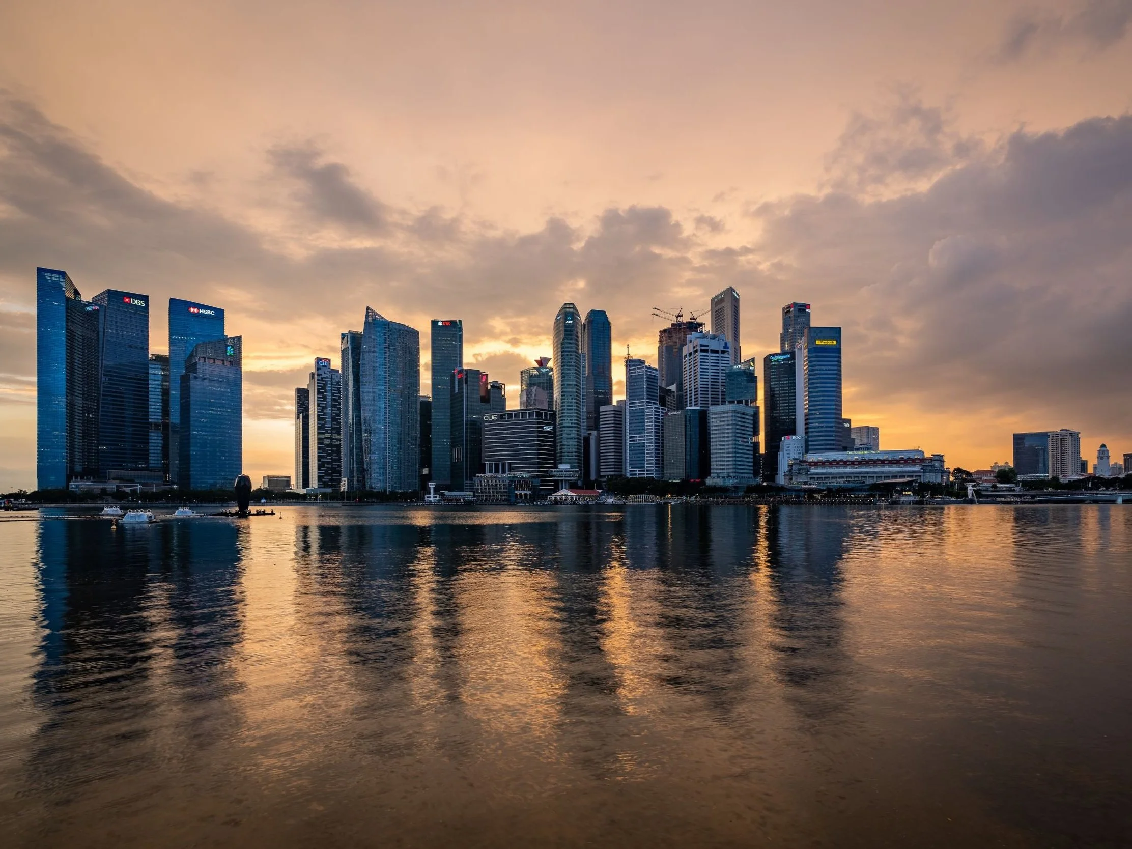 The Firm — Venture Law