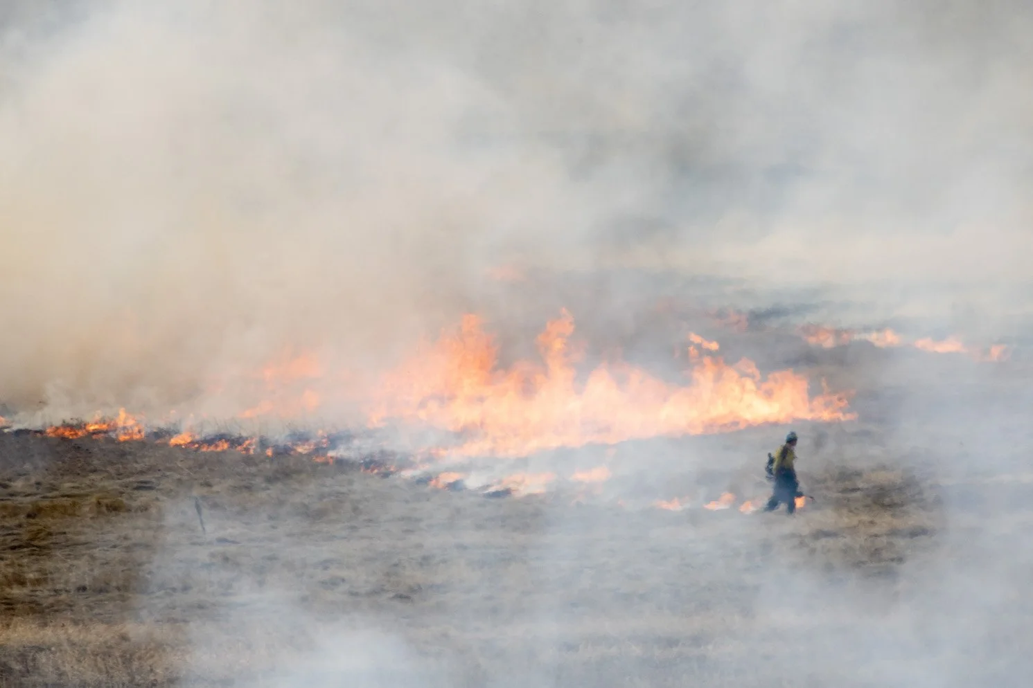 Open Space and Mountain Parks — Phillip Yates