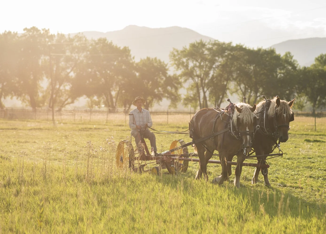 Open Space and Mountain Parks — Phillip Yates