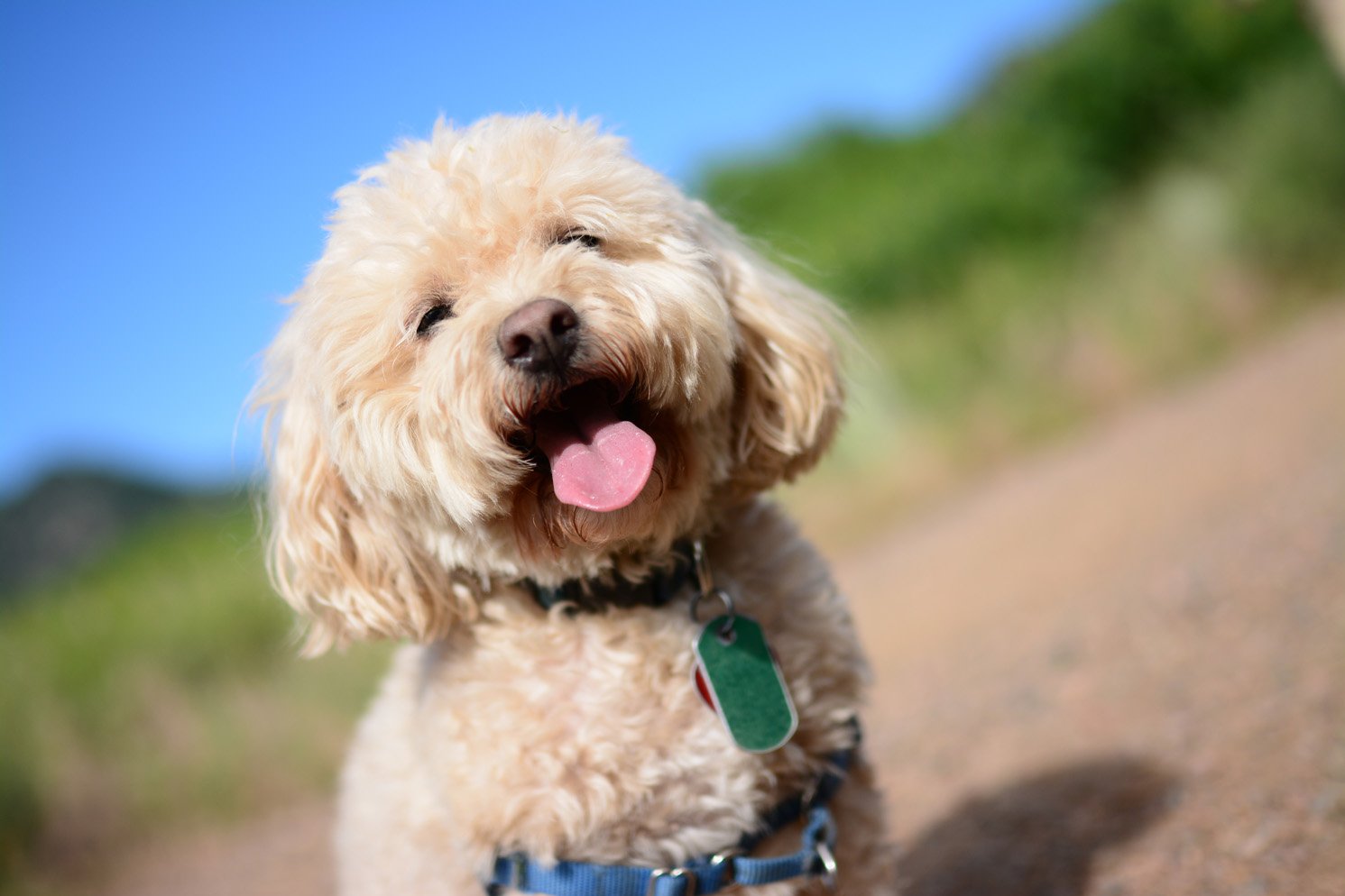 Open Space and Mountain Parks — Phillip Yates