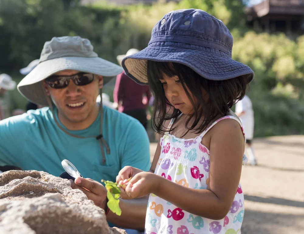 Open Space and Mountain Parks — Phillip Yates