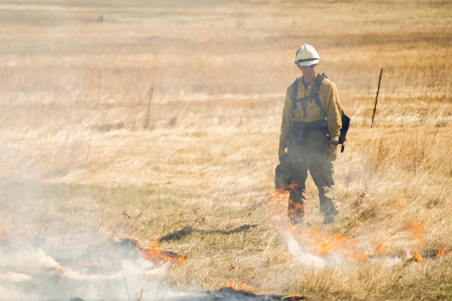 Open Space and Mountain Parks — Phillip Yates