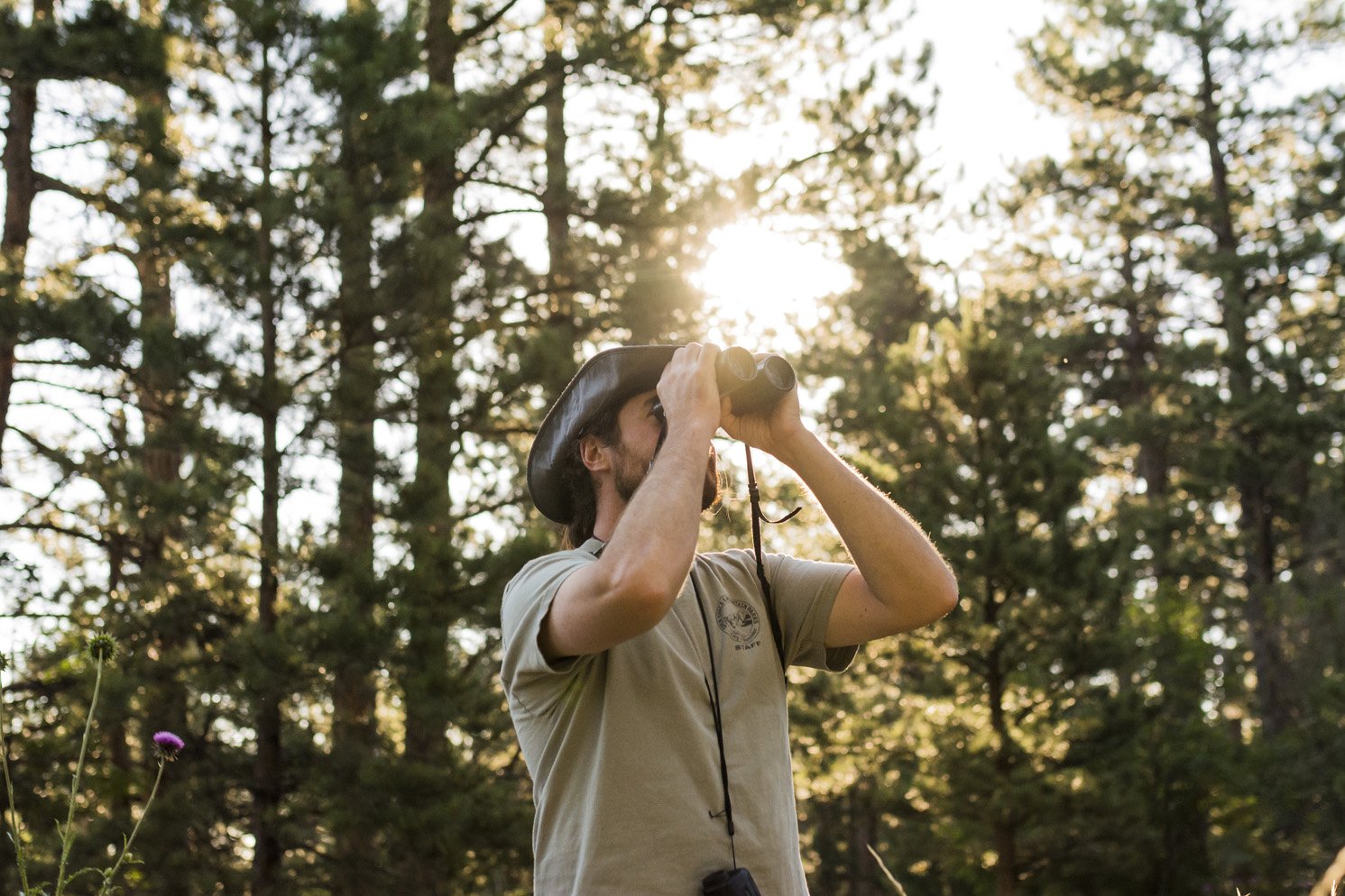 Open Space and Mountain Parks — Phillip Yates