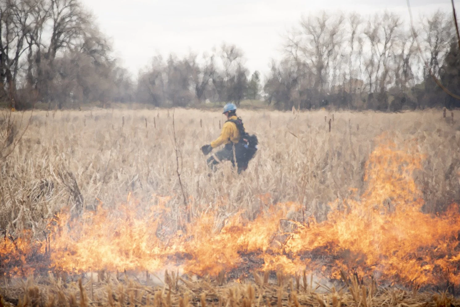 Open Space and Mountain Parks — Phillip Yates