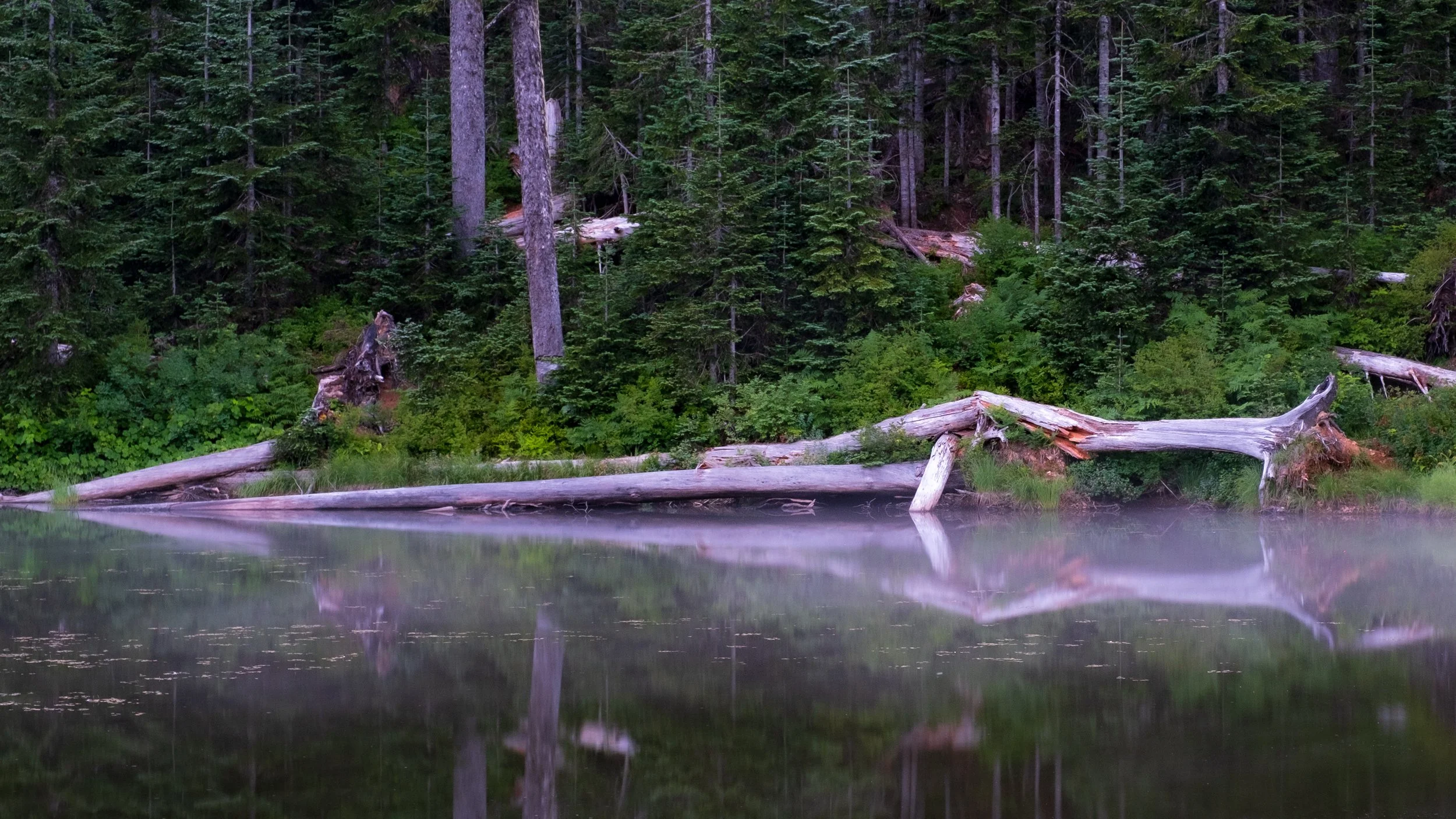 Store 1 — Prolific Northwest | Fly Fishing Videos & Nature Photography ...