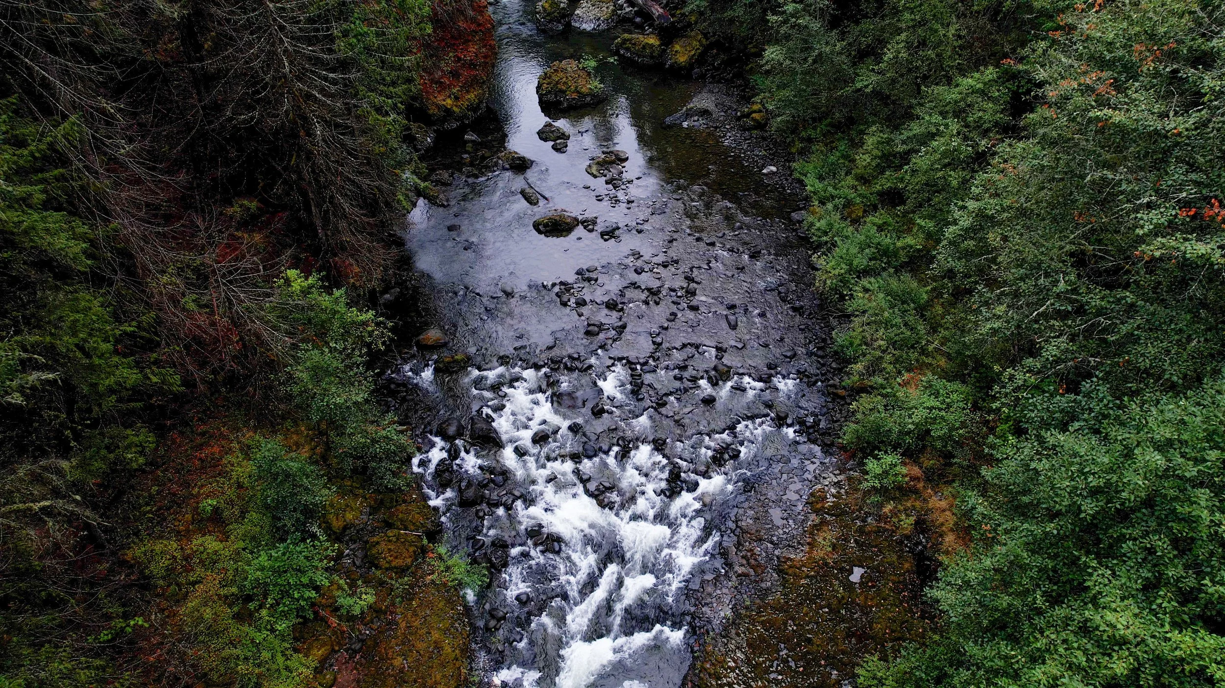 Prolific Northwest | Fly Fishing Videos & Nature Photography by Sean D ...