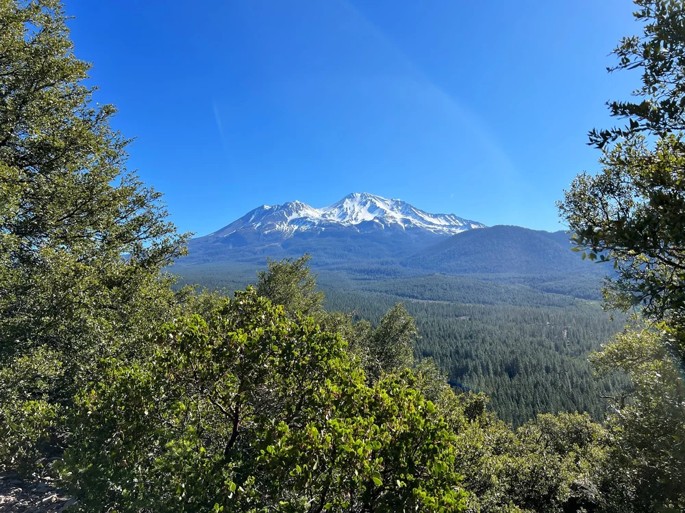 Area Attractions — Shasta Inn